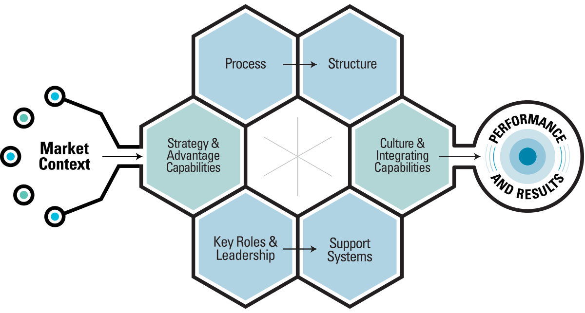 Optimize organizational capabilities that drive results
