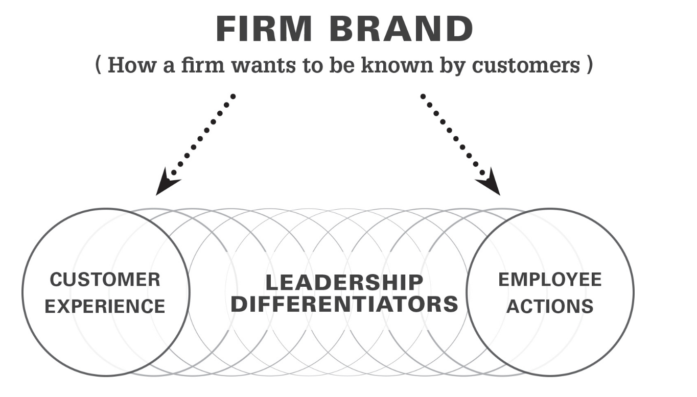 Leadership Development Strategies: Leadership Brand & Leadership C